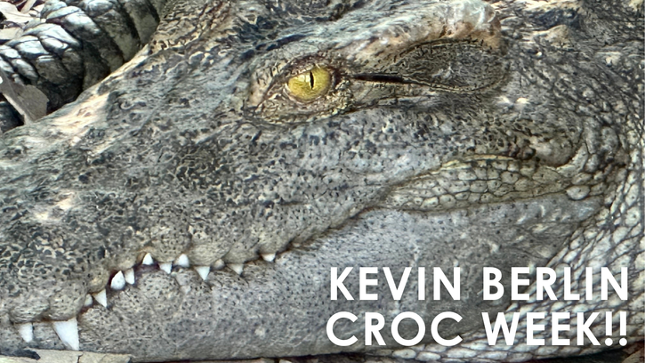 Artist | Kevin Berlin