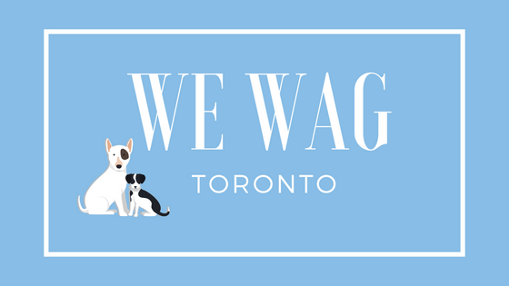 How Much Do Wag Dog Walkers Make