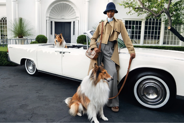 Dogs in Advertising: The Perfect Partners in Marketing