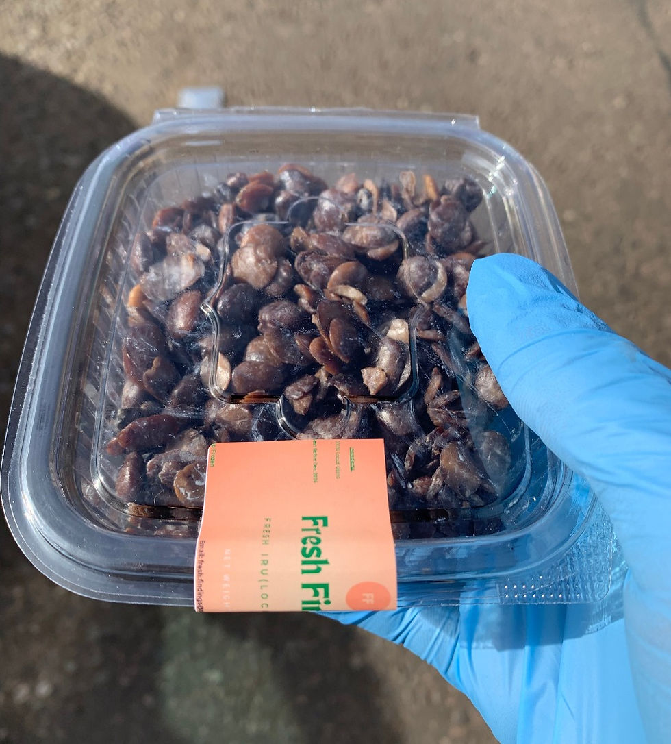 Fresh Vegetable | Fresh Findings