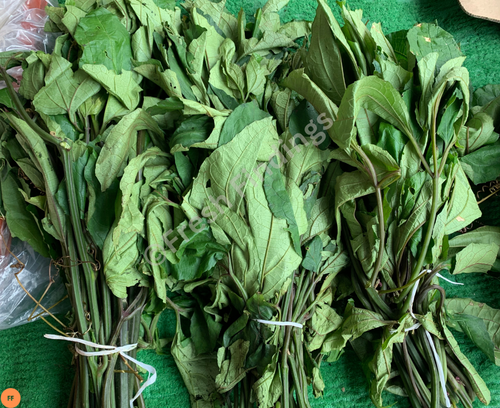 Box of Fresh Ugu/Ugwu | Fresh Findings