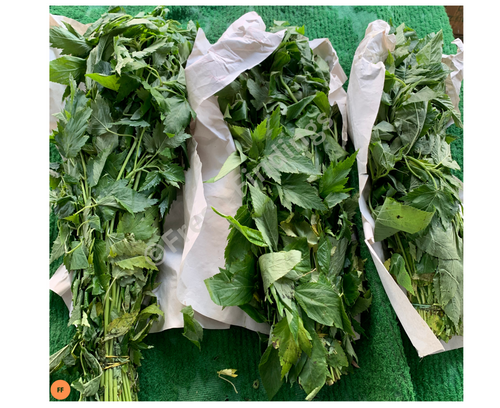 Box Of Fresh Ewedu (Jute leaves) | Fresh Findings