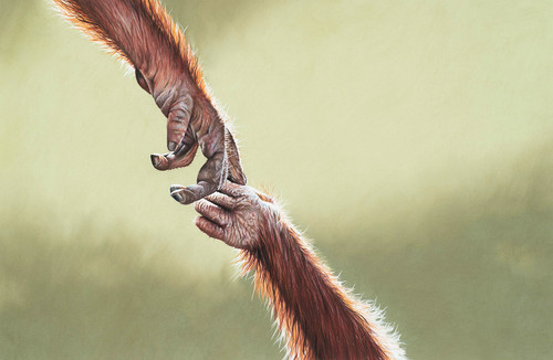 Holding on.... | richard-symonds