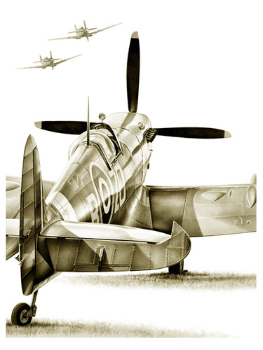 Spitfire salute | richard-symonds