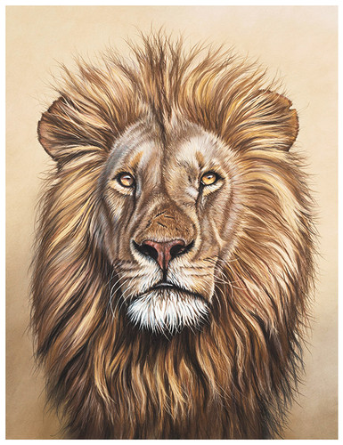 Richard Symonds wildlife artist online shop