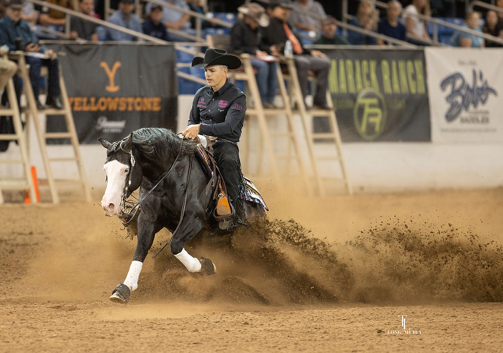 007 Bond - 2019 Bay AQHA/APHA Stallion | Reining Stallion