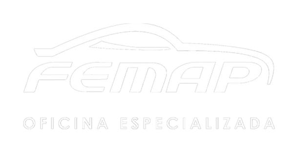 Femap Oficina Especializada São Paulo