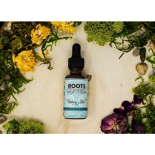 Kidney Shot | Heritage Havens