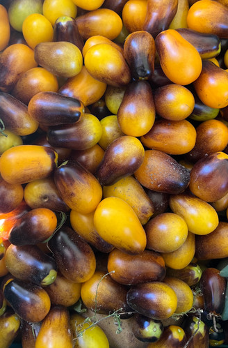 Pear Drop Tomatoes | Macas Green Fam