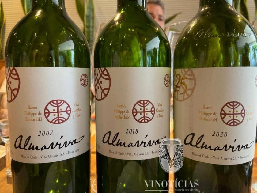 MINI VERTICAL DE ALMAVIVA 2007 – 2018 – 2020 - PUENTE ALTO - CHILE