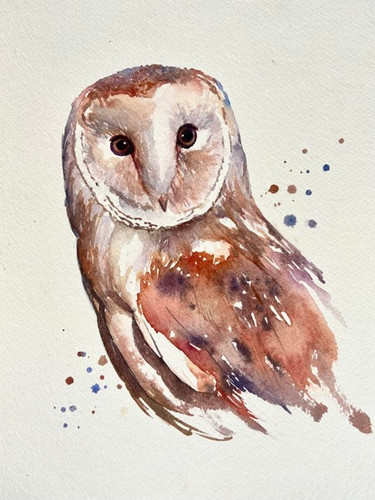 Oscar | Sarah Stokes Artist