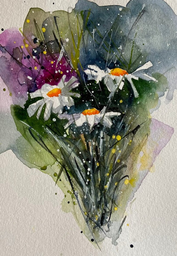 Daisies 2 | Sarah Stokes Artist
