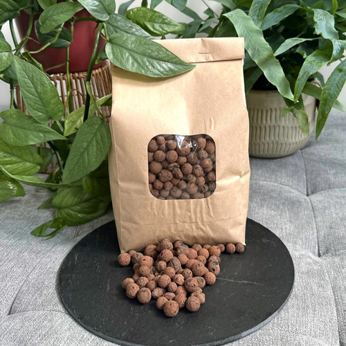 Hydro Clay balls (LECA) | The Foliage Studio