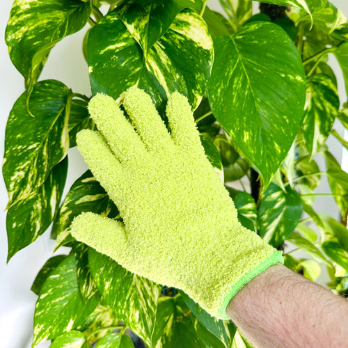 Microfibre Leaf Cleaning Glove | The Foliage Studio