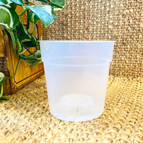 Clear Nursery Pot 12cm | The Foliage Studio