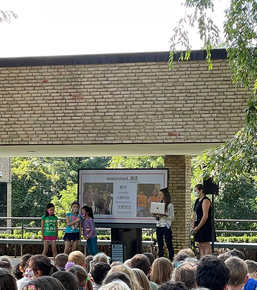 Enhancing Physical Education Through Visual Displays