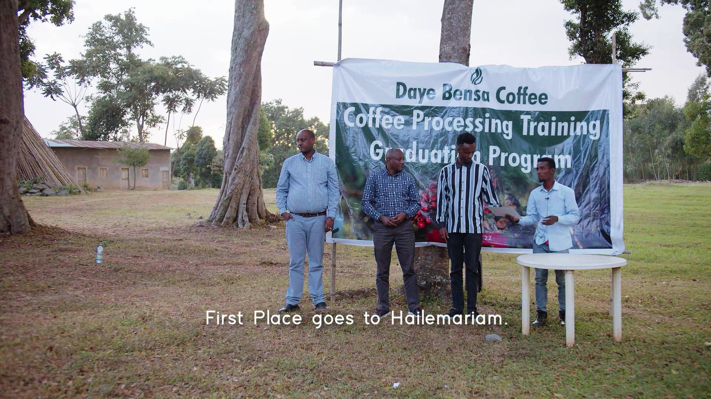 Gallery | Daye Bensa Coffee Export Plc