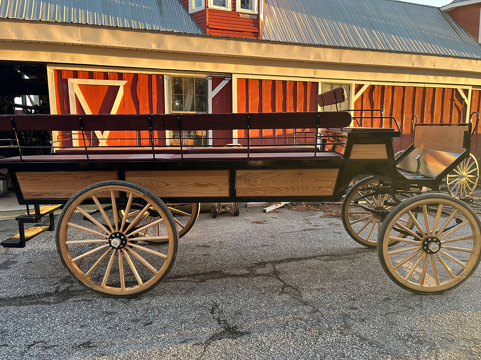 !!!NEW 12-PASSENGER WAGONETTE!!! THE ULTIMATE PEOPLE MOVER ...