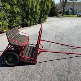 !!!RED DONKEY TRAINING CART!!! | Carolina Carriage