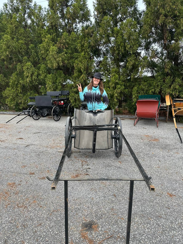 CUSTOM BUILT CHARIOT | Carolina Carriage