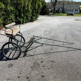 ***MEAN GREEN PONY EXERCISE CART*** | Carolina Carriage