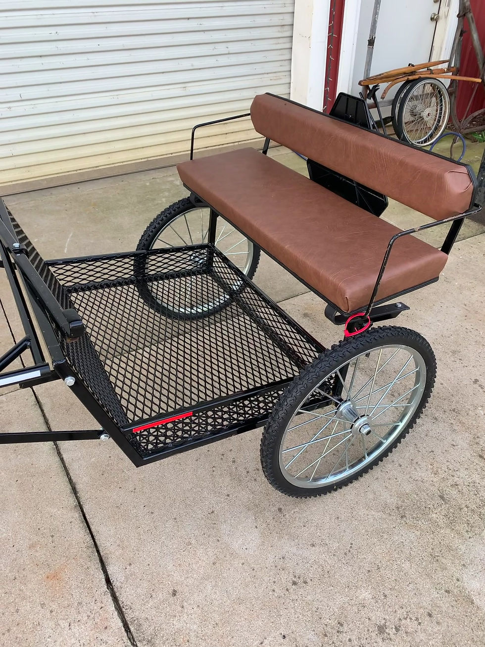 2-Wheel Vehicles For Sale | Carolina Carriage
