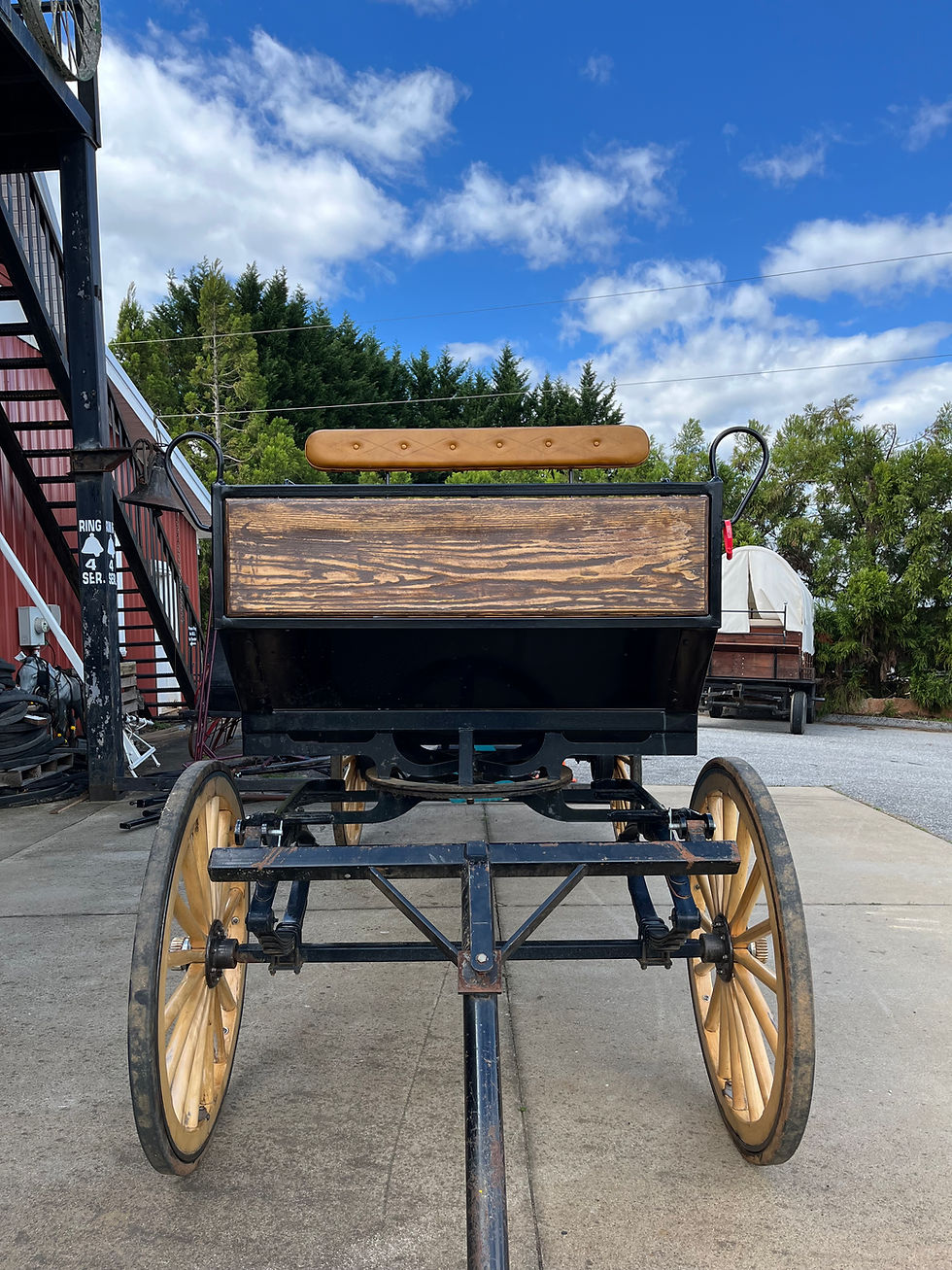4-Wheel Carriages for Sale | Carolina Carriage