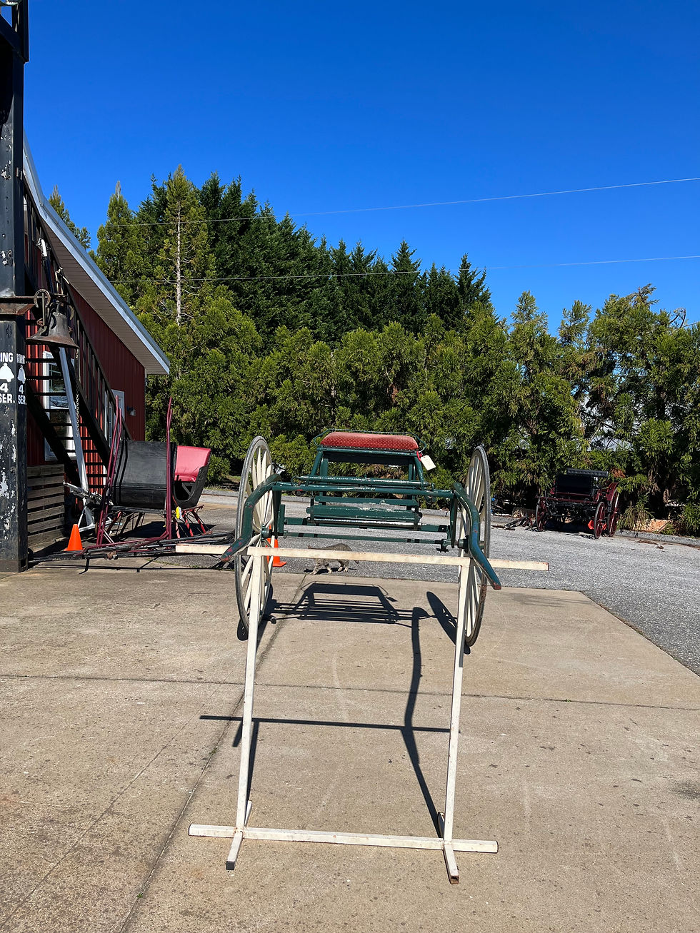 2-Wheel Vehicles For Sale | Carolina Carriage