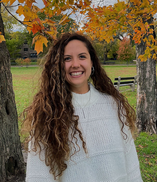 Stitched Back Together Limbs