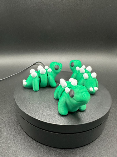 Baby Stegosaurus | Kitsap 3D