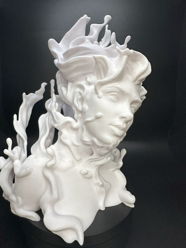 Female Dichotomy | Kitsap 3D