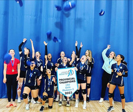 Volleydome | Defenders