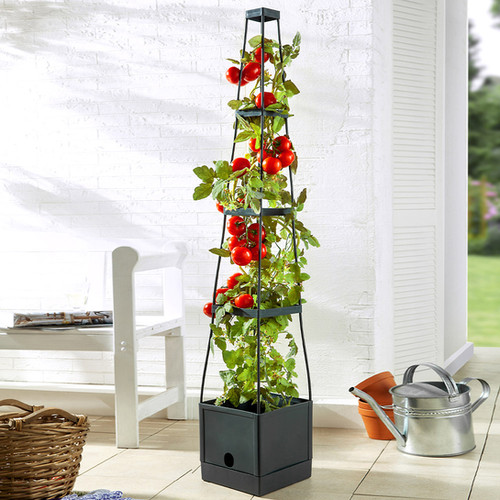 Tomato Tower 16 Liters - Anthracite (Approx. 25 x 25 x 150 cm) | big ...