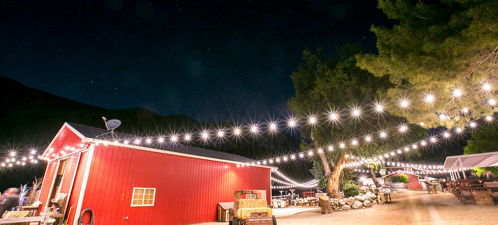 Gallery | Sweet Pea Ranch