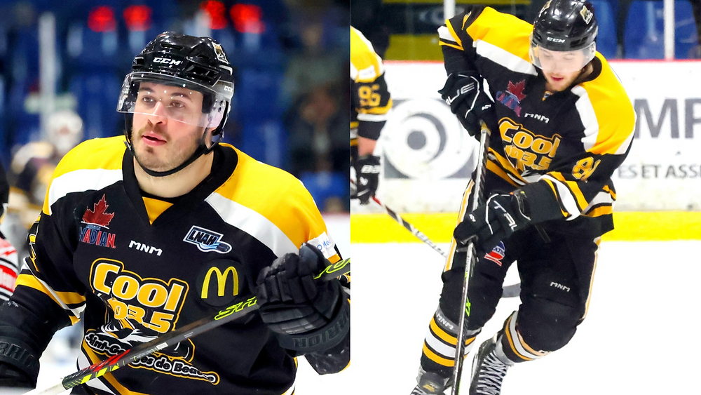 La deuxième étoile pour Danny Potvin et une suspension de trois matchs ...