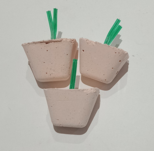 Diatom Iodine Blocks - Small | Avian Vitality