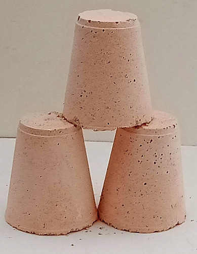 Diatom Iodine Blocks - Large | Avian Vitality