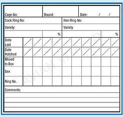 Nest Box Cards | Avian Vitality