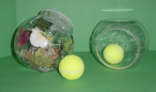 Starter Kit for mantis | MantisPlace.com