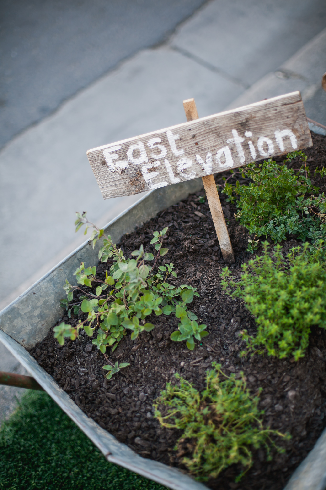 east-elevation