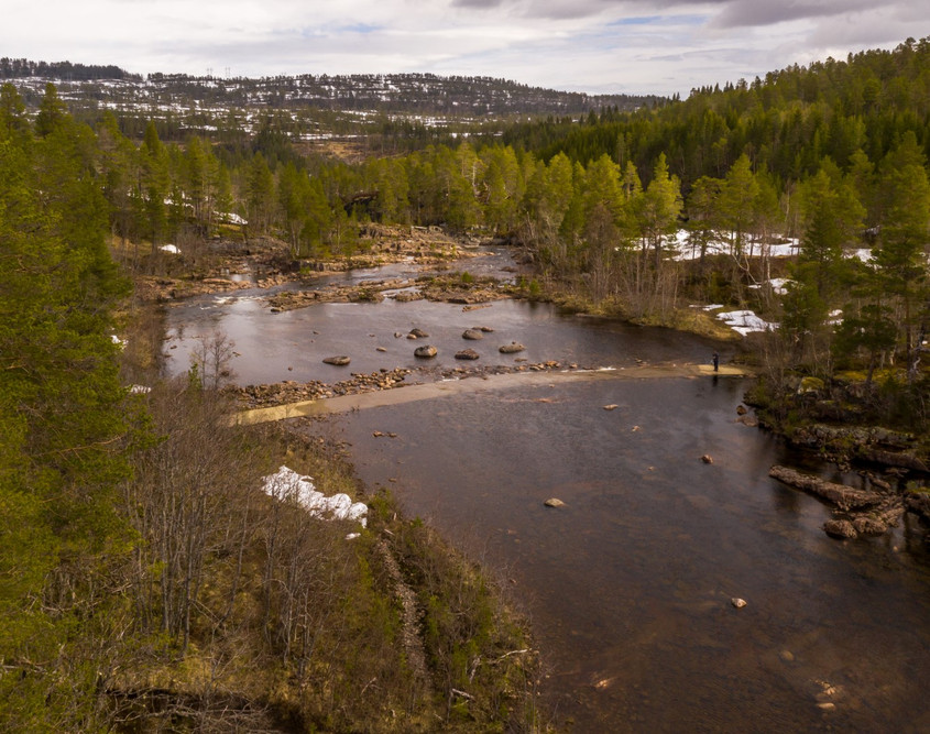 Rindal | hareidlandet