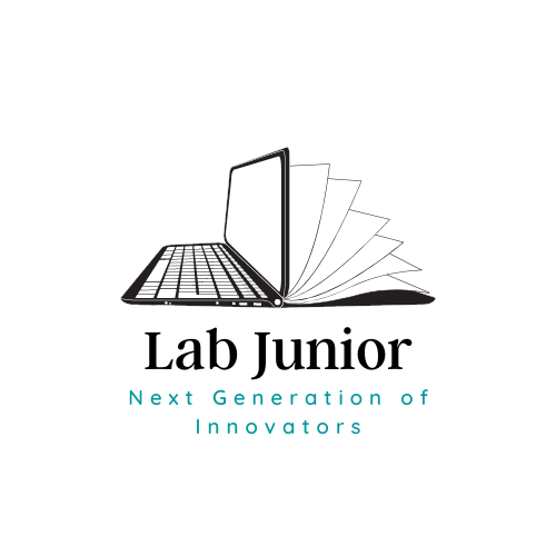 Lab Junior | Cybersecurity and AI Training | Artificial Intelligence ...