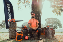 Arbolab - Arboricultura | Negócios na Área Verde | curso escalada arvores | Arborista ...