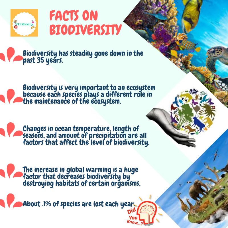 FRIDAY FACTS ON BIODIVERSITY- BY ADETOUN AKITOYE