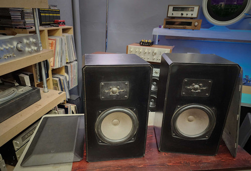 A/D/S L1 High Fidelity Loudspeaker System (Similar to ADS L520) | BIG ...