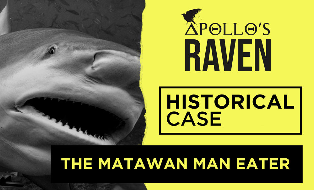 The Matawan Man-Eater