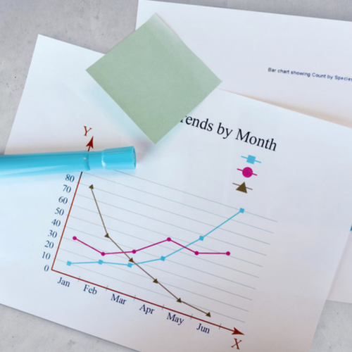 Program Graph w/ Printable Graph Pages | abcbehavior