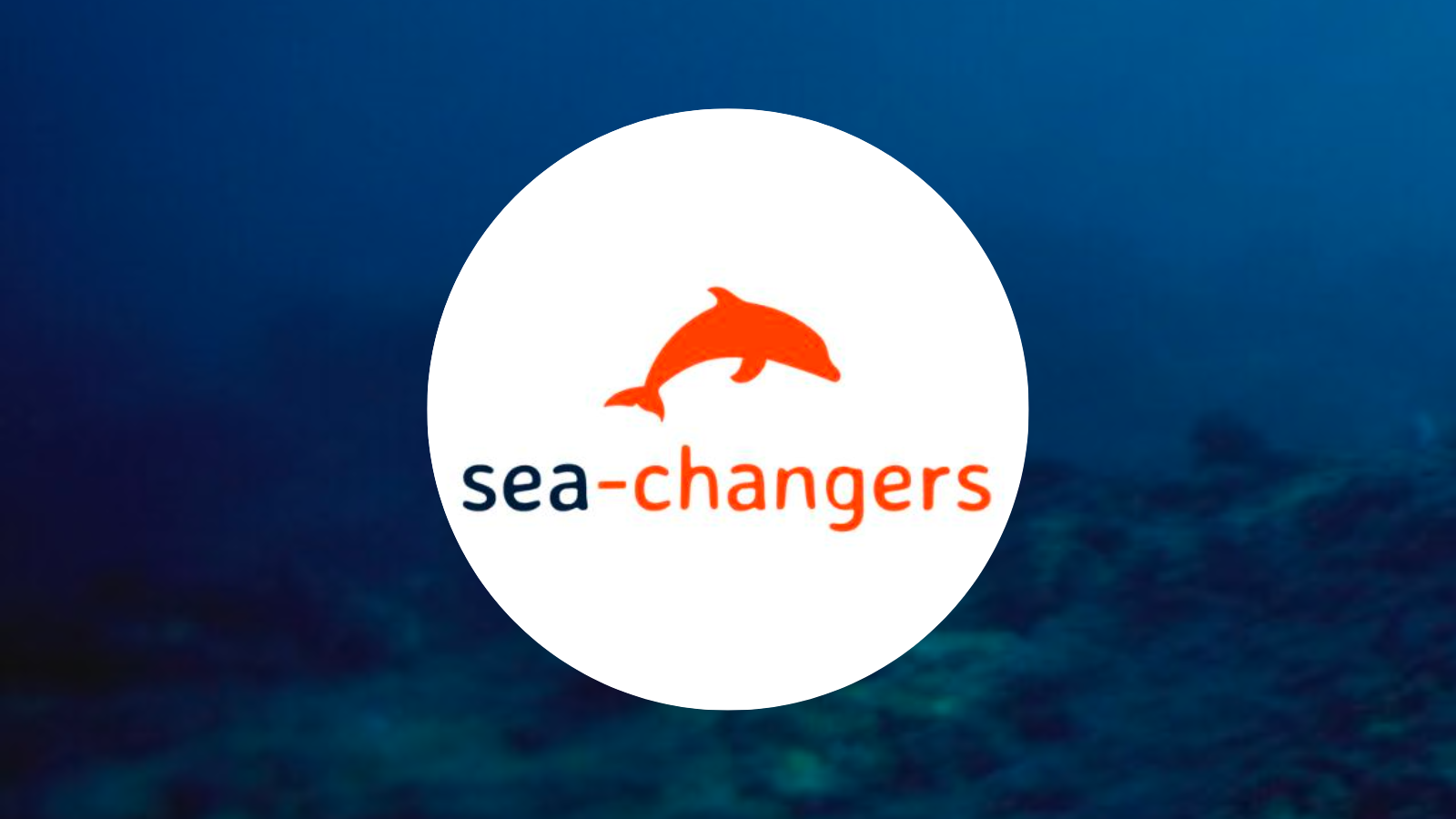 Charity Profile - Sea Changers