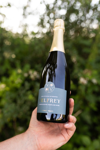 Velfrey Non-Vintage Welsh Sparkling | Velfrey Vineyard