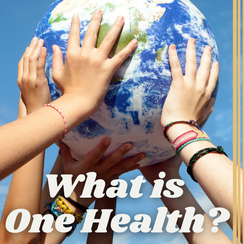 One Health Kids eBook: What is One Health? (Level 1) | OneLifeEpiSolutions